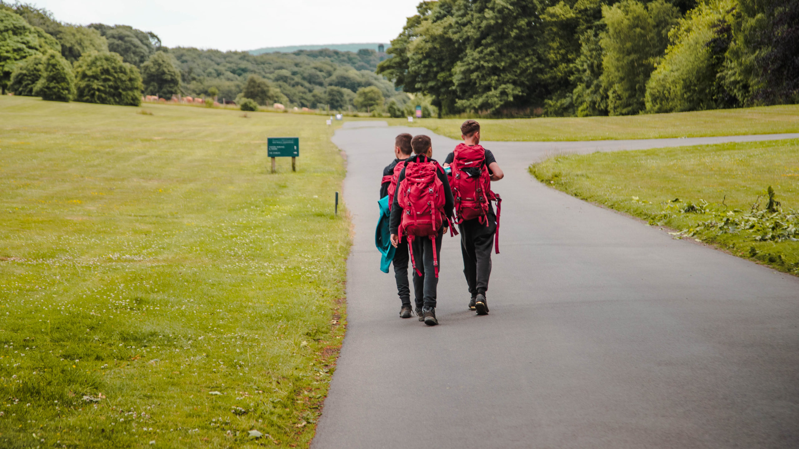 Elements Academy - Elements Academy